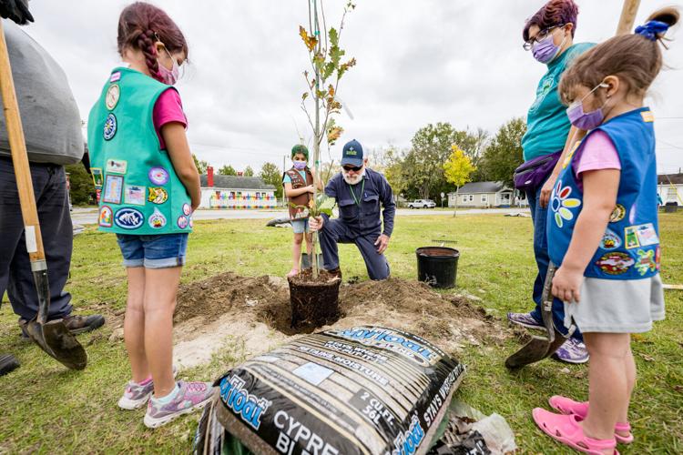 Volunteers bring new life to vacant lots with tree planting | Local ...