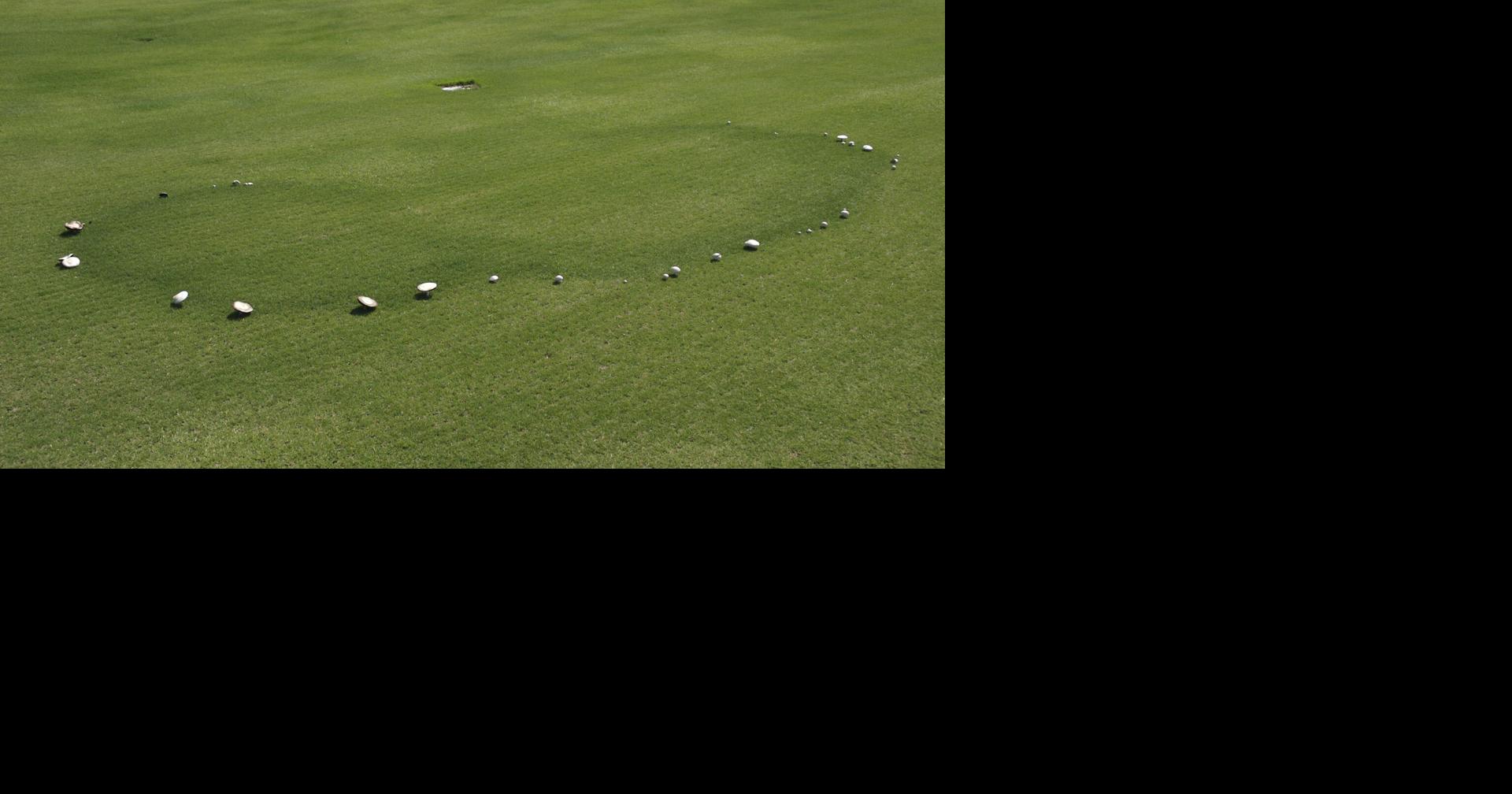 Matthew Stevens: Too much moisture can cause landscape complications ...