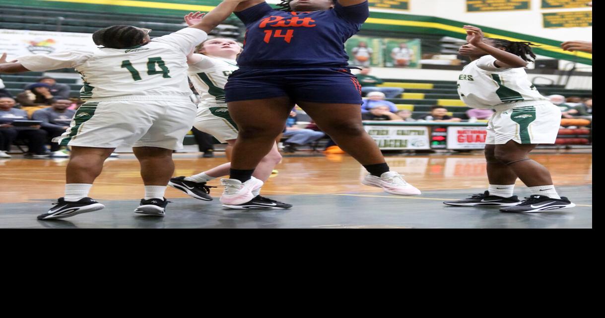 High school roundup: Vikings, Panthers net wins in holiday tourney ...