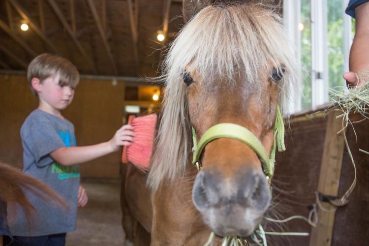 Ranch provides recreation and relaxation | Local News | reflector.com