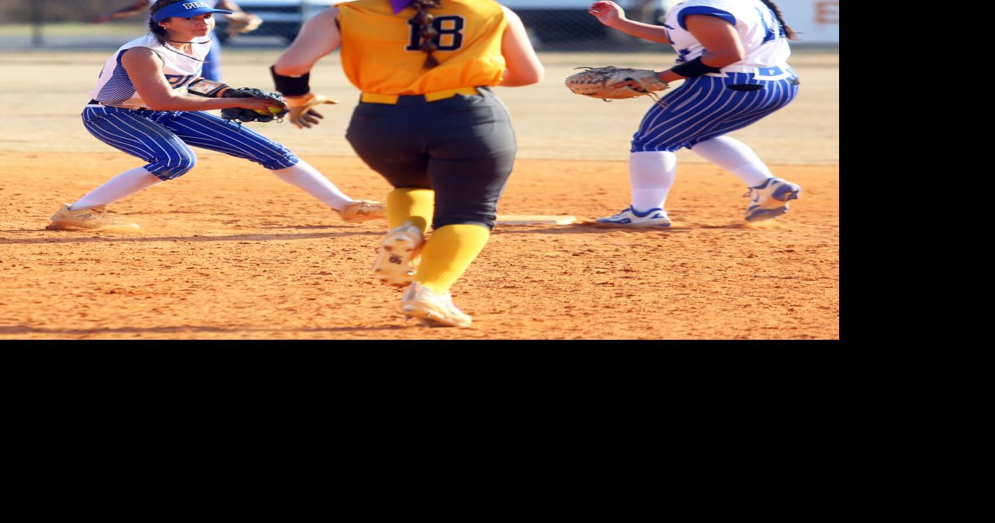 PCC roundup: Softball splits at Bryant & Stratton; baseball boasts five ...