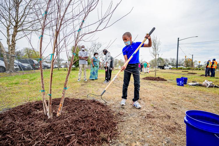 Major intersection coming to life with tree planting | Local News ...