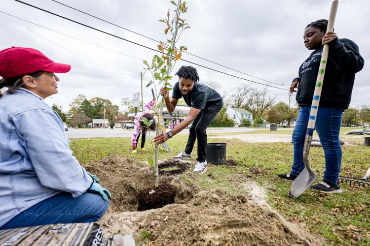 Volunteers bring new life to vacant lots with tree planting | Local ...