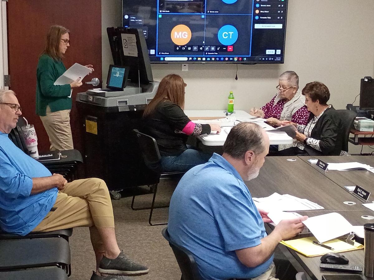 Recount does not change outcome of Hardee-Blackburn Greenville City Council race | Local News ...