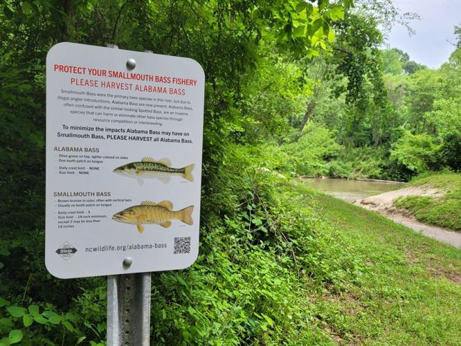 Wildlife Commission seeks public’s help in reducing threat from Alabama ...