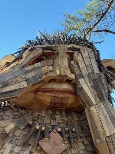 Joy Moses-Hall: Trolling for trolls | Feature Columnist | reflector.com