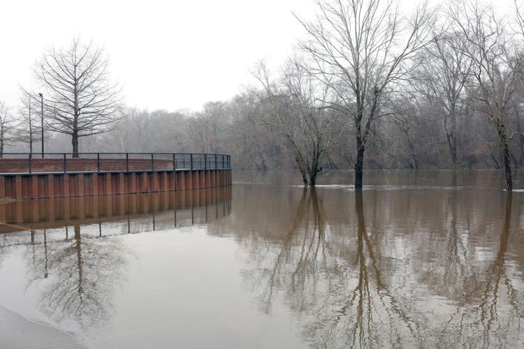 Sun expected to make appearance today, Wedneday before rain returns on ...