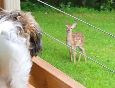 Aug. 14 Community News | Feature Story | reflector.com