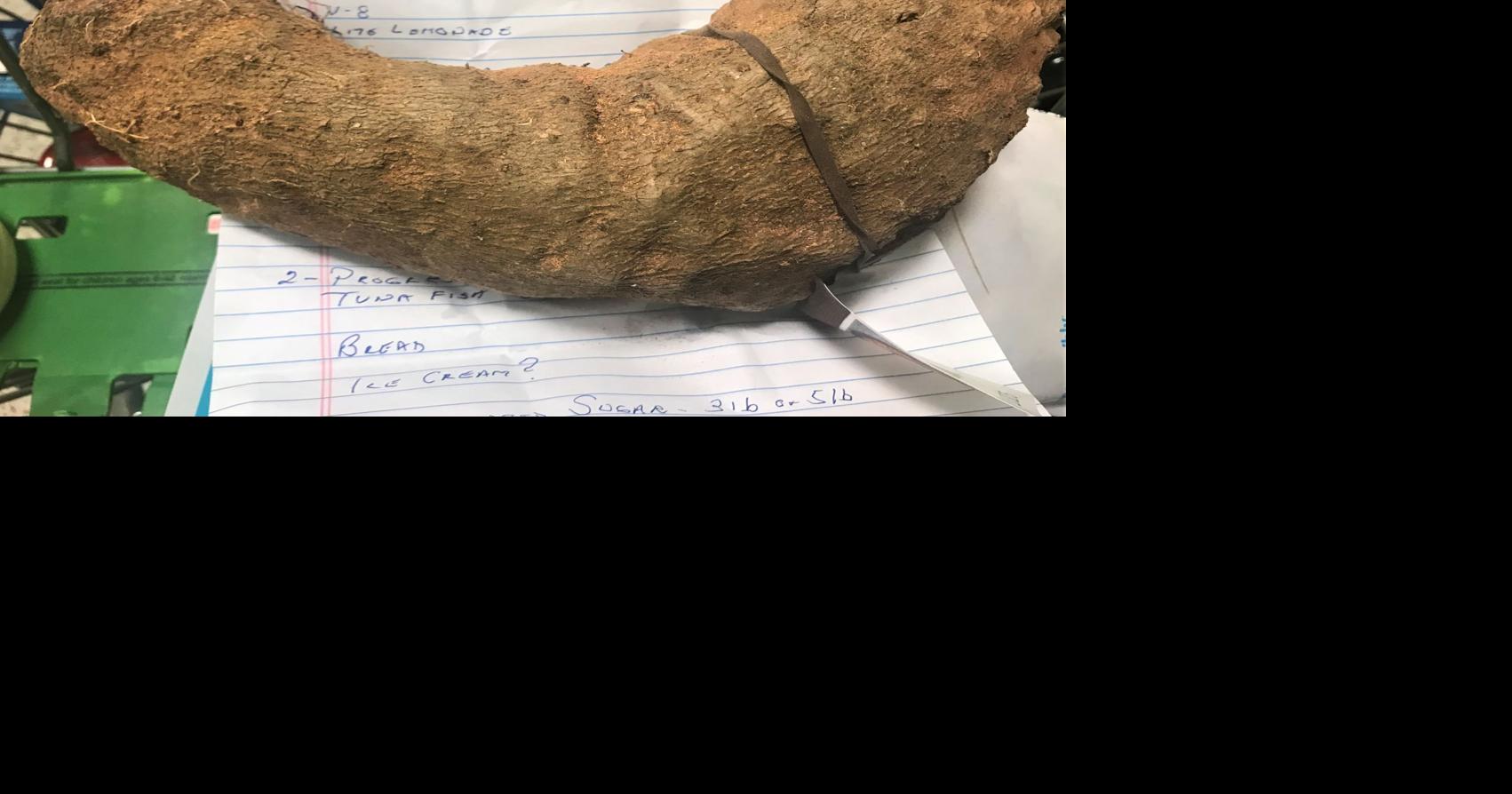Tuber is grown as a crop in Caribbean nations | Feature Columnist ...
