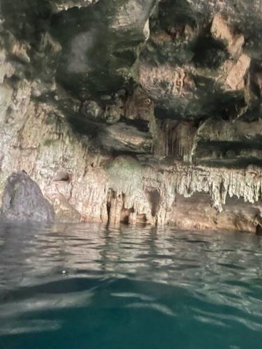 Joy Moses-Hall: Limestone muds host celestial thuds like boiled spuds | Feature Columnist ...