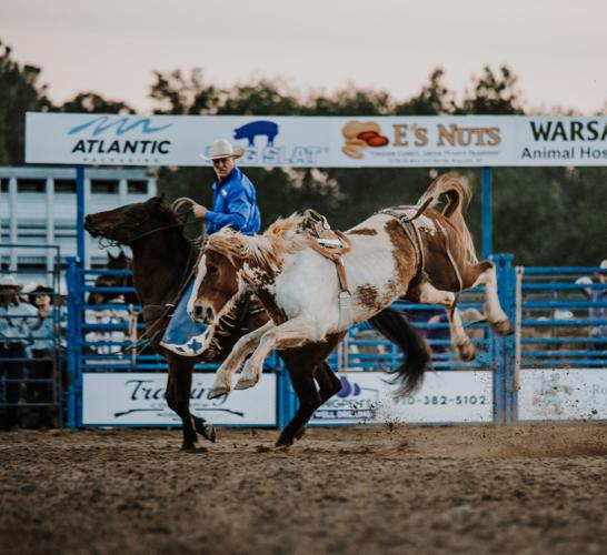Saddle up: This is not Tara Creek’s first rodeo | News | reflector.com