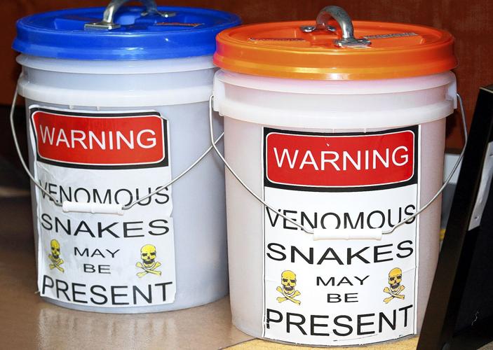 Snakes slithering into spotlight | Local News | reflector.com