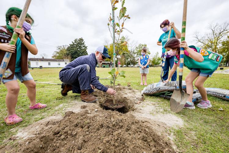 Volunteers bring new life to vacant lots with tree planting | Local ...
