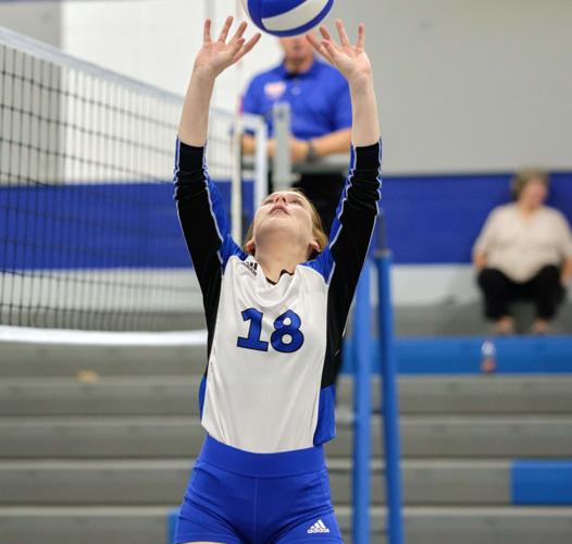Lady Bears Net Dolphins | Sports | reflector.com