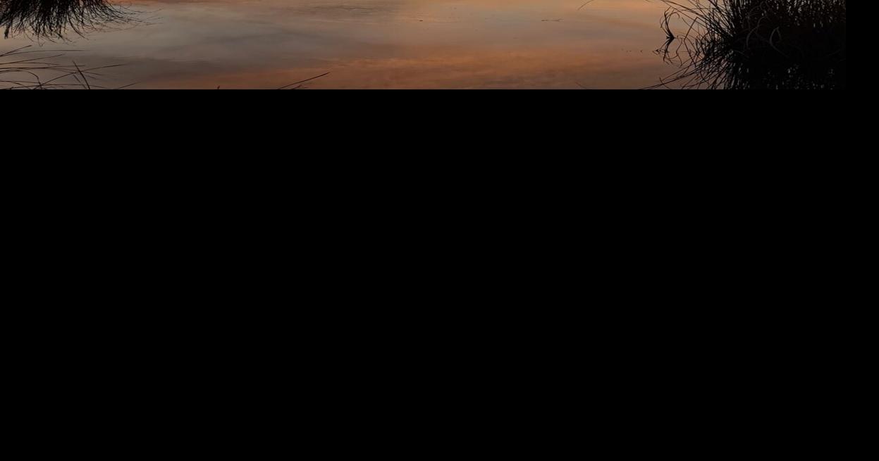 Jan. 17 Community News | Feature Story | reflector.com