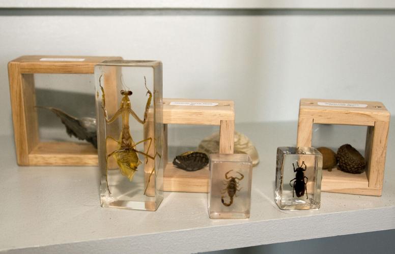 NC Museum of Natural Sciences - A Time for Science | | reflector.com