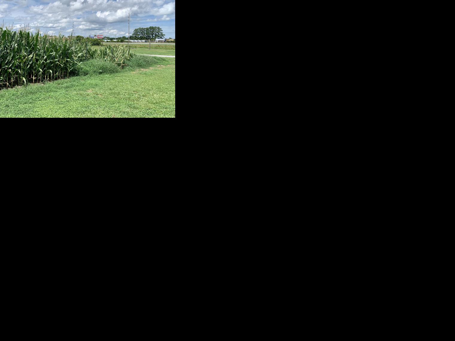 July rains ease Pitt County drought concerns; Rising Tar River ...