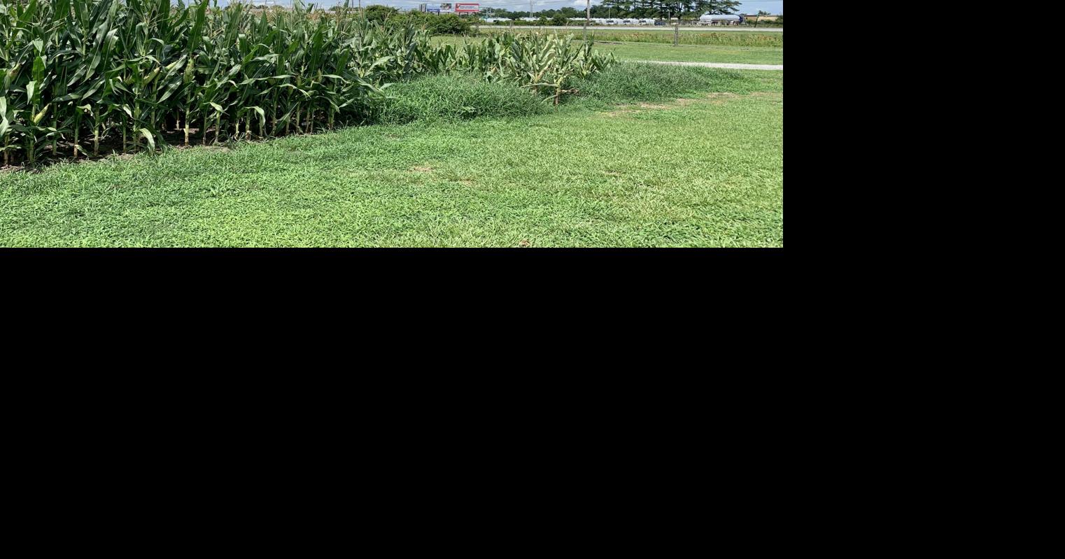 July rains ease Pitt County drought concerns; Rising Tar River postpones Splash for Trash ...