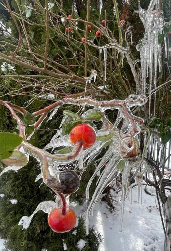 Feb. 1 Community News | Local News | reflector.com