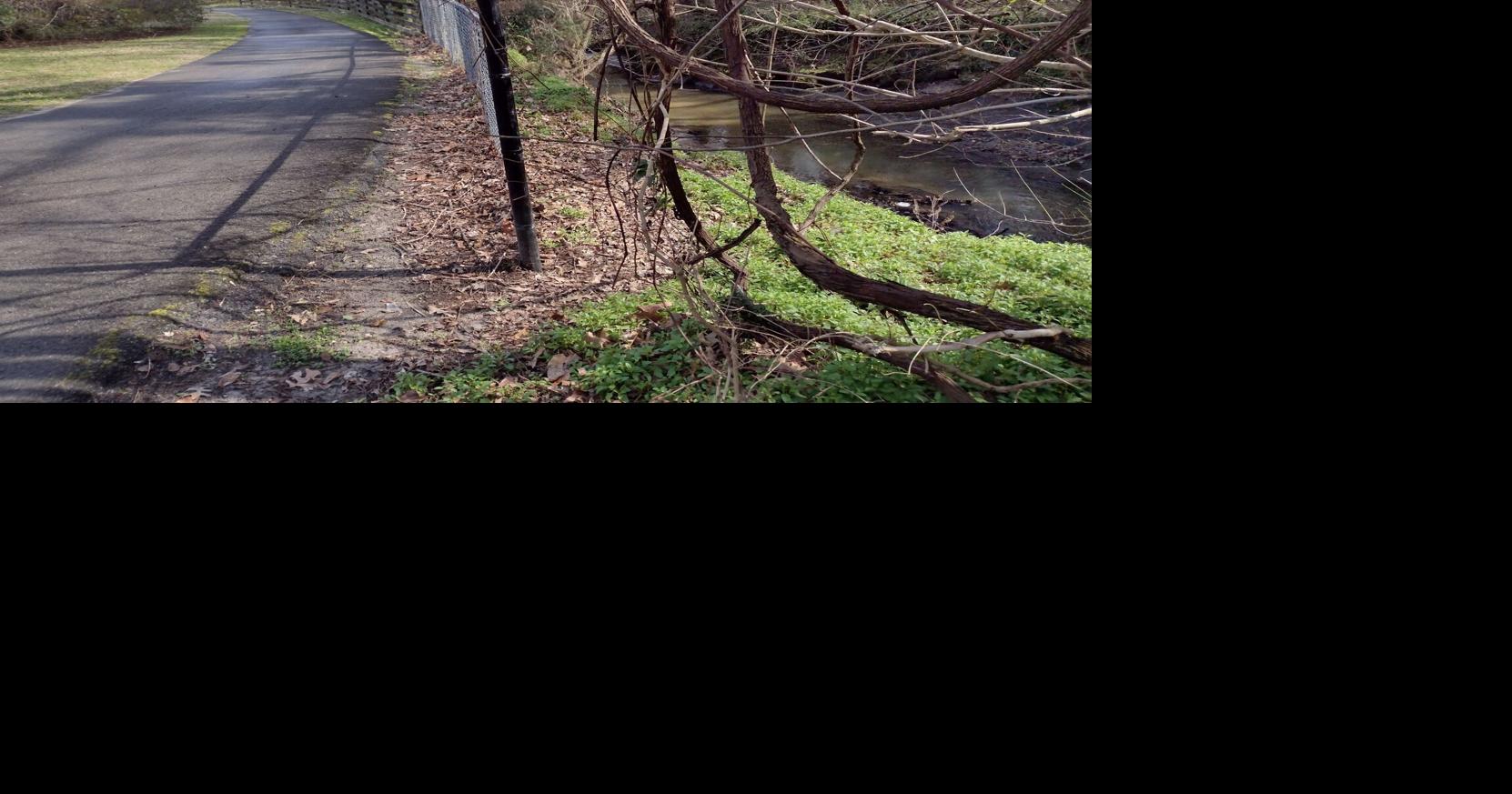 Greenville Rec & Parks using grant to stabilize Green Mill Run streambank | Local News ...