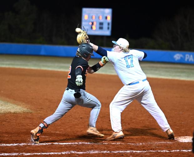 High school baseball: Panthers come from behind to defeat Bulldogs, 9-6 ...
