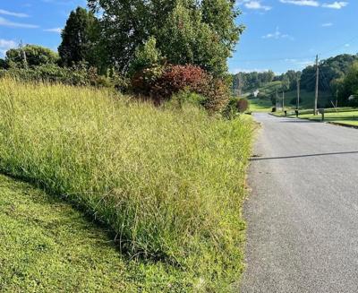 Mark Rutledge: New lawn ideas grow like weeds | Feature Columnist ...