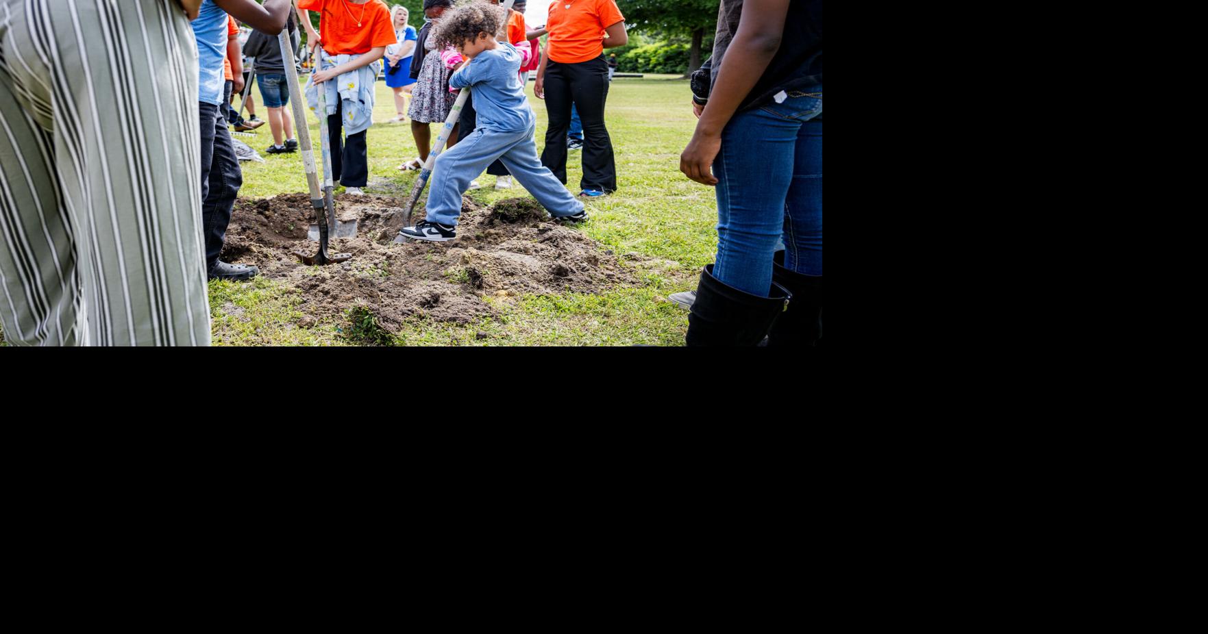 Greenville Arbor Day celebrations encourage planting, care of trees ...