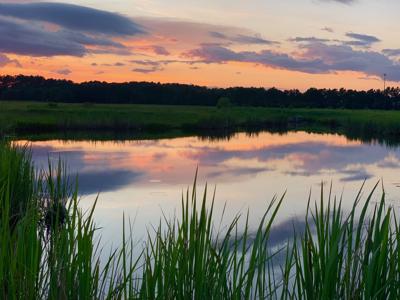 Dec. 7 Community News | Local News | reflector.com