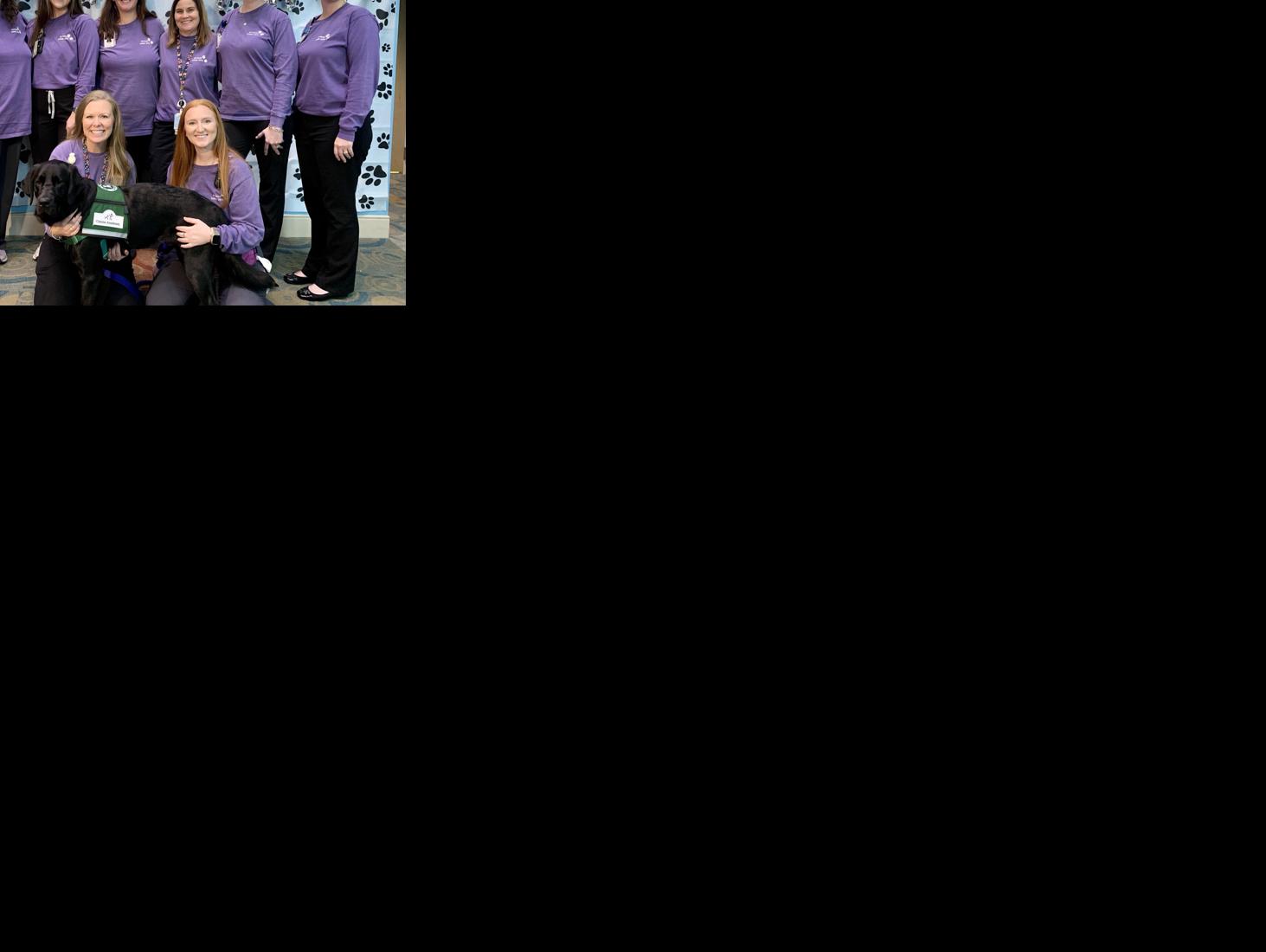 Maynard Children's Hospital employs facility dog Sam | Local News ...