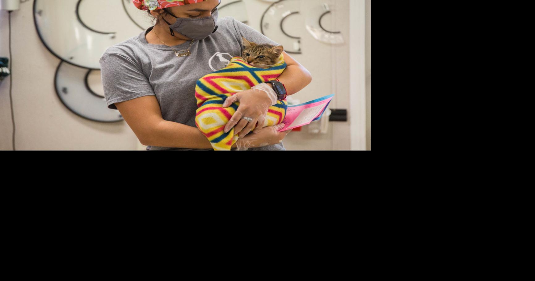 Spay Today announces that it will stay: Spay-neuter clinic's closure ...