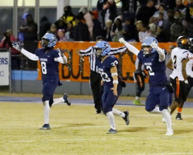 Panthers celebrate emotional triumph on their home field | Sports ...