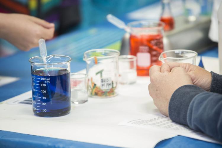 Blackbeard relics, science displayed | Local News | reflector.com