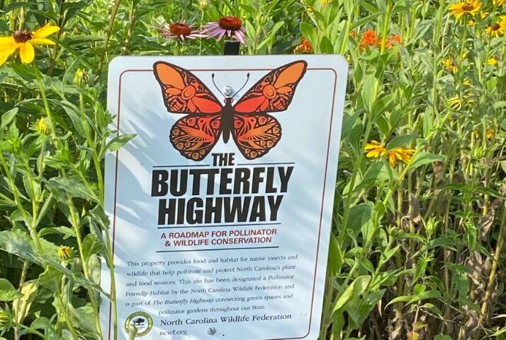 Provide pitstops for pollinators on Butterfly Highway | | reflector.com