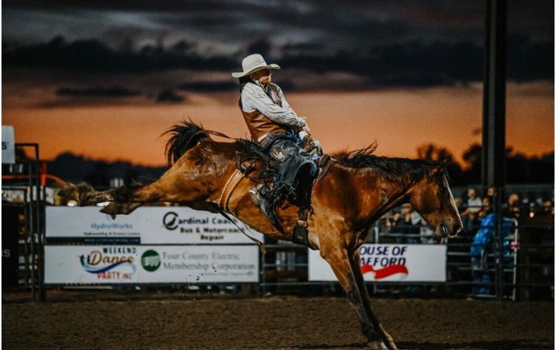 Saddle up: This is not Tara Creek’s first rodeo | News | reflector.com