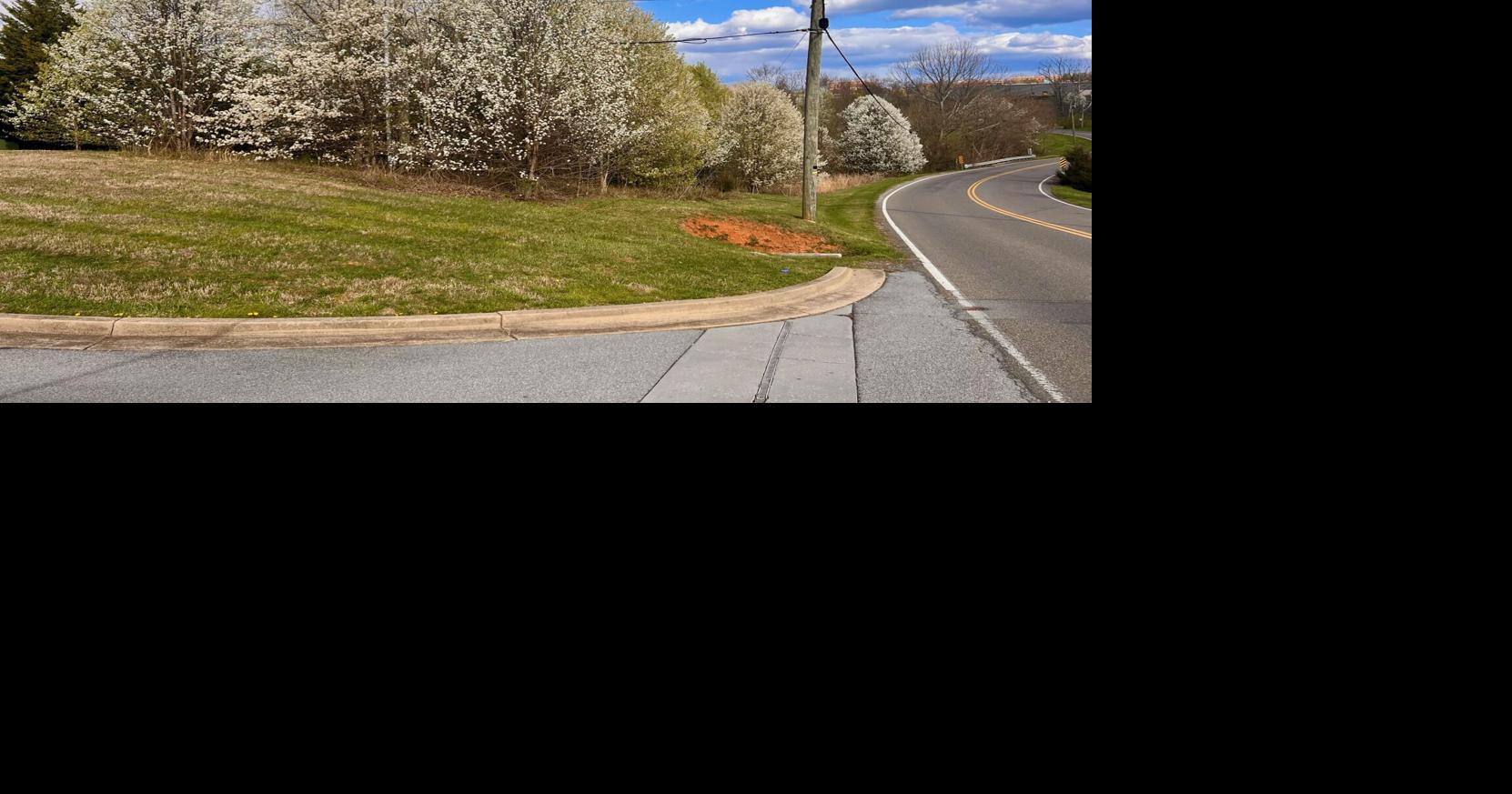 Mark Rutledge: Growing a Bradford pear tree is like planting Kudzu on ...