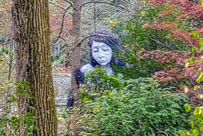 Jan. 18 Community News | Feature Story | reflector.com