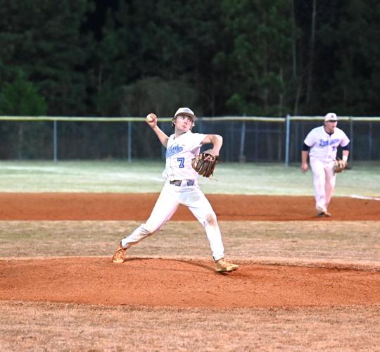 High school baseball: Panthers come from behind to defeat Bulldogs, 9-6 ...