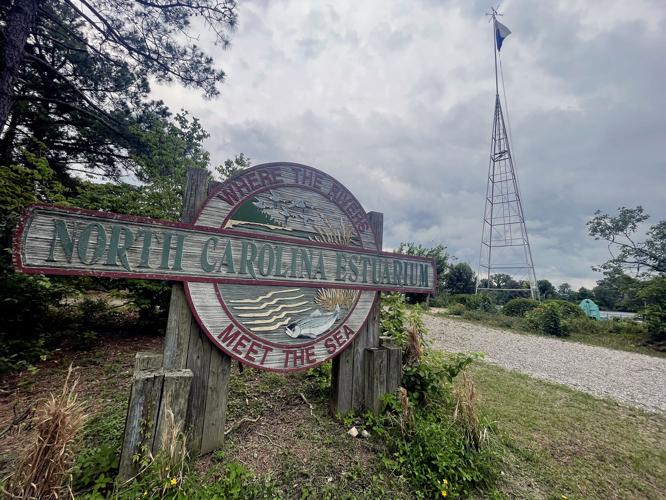 A Gem on the Inner Banks: The NC Estuarium is a place to visit for ...