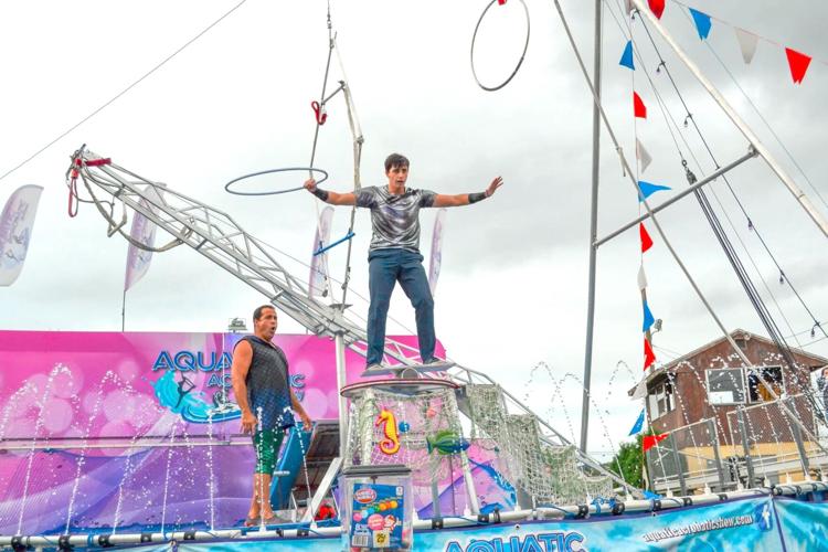 Making a splash: Aquatic Acrobatic Show returns for 103rd annual Pitt ...