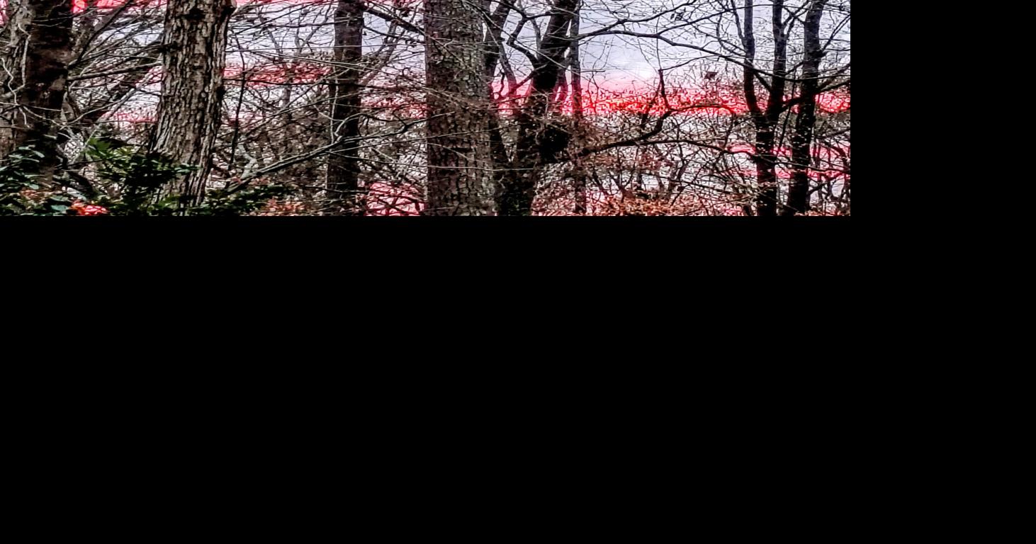 Jan. 10 Community News | Feature Story | reflector.com