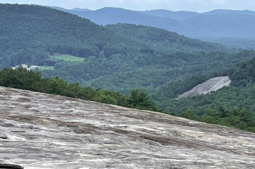 Joy Moses-Hall: Rooted in yesterday, the dome is not alone | Feature Columnist | reflector.com