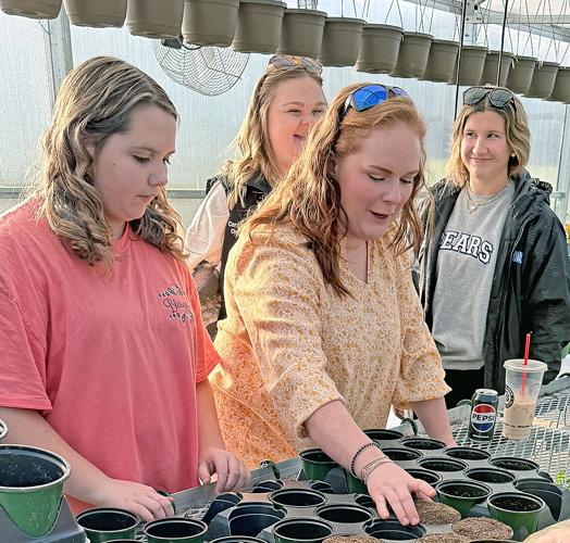 Bear Grass FFA plans Spring Market and plant sale | News | reflector.com