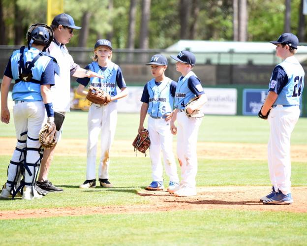 Scene Around Brown Woods vs Kiwanis Greenville Little League Baseball ...