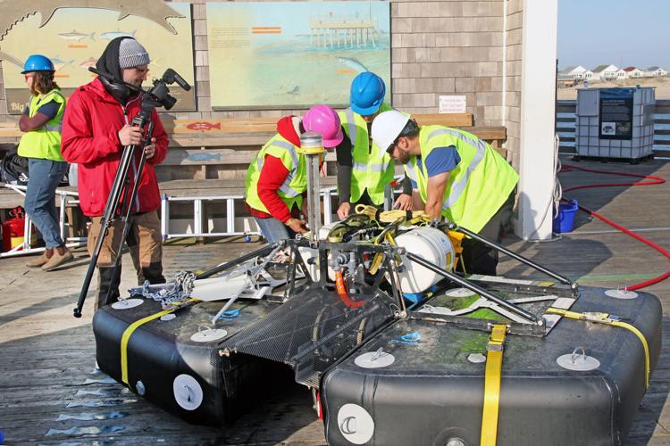 ECU Notes: Oneka Snowflake wins Waves to Water competition | Local News ...