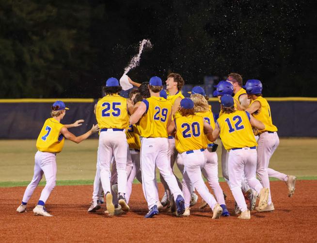 Wayne County wins NC Area 1 East Championship, advances to state ...