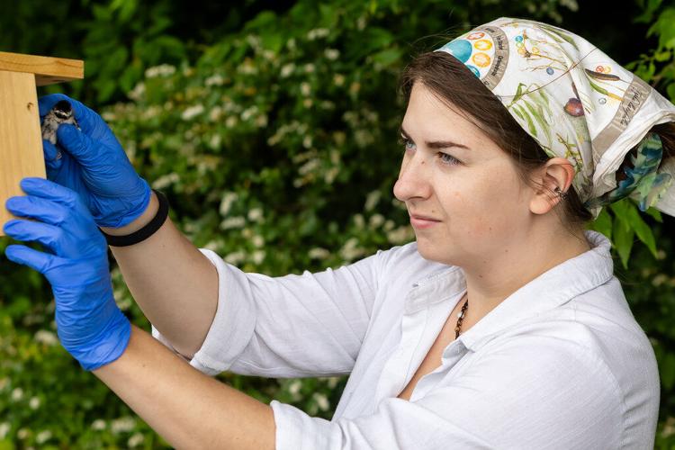 PCC Notes: Biology students assist with Carolina Chickadee study ...