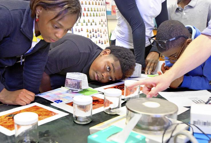 ECU expo makes science fun | Local News | reflector.com