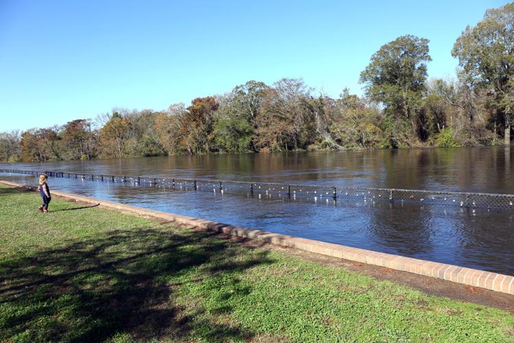 Tar River crests at nearly 20 feet in Greenville after heavy rains last ...