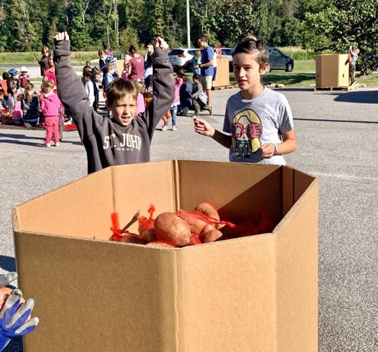 Yam jam: Montessori students package sweet potatoes for food bank ...
