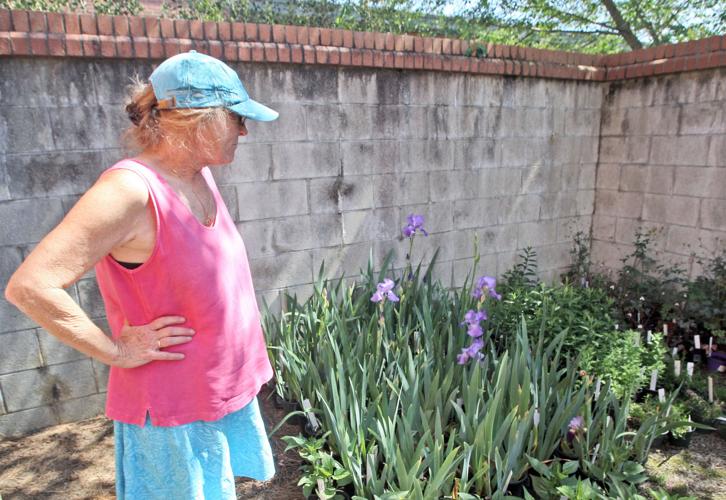 Arboretum sale keeps growing | Local News | reflector.com